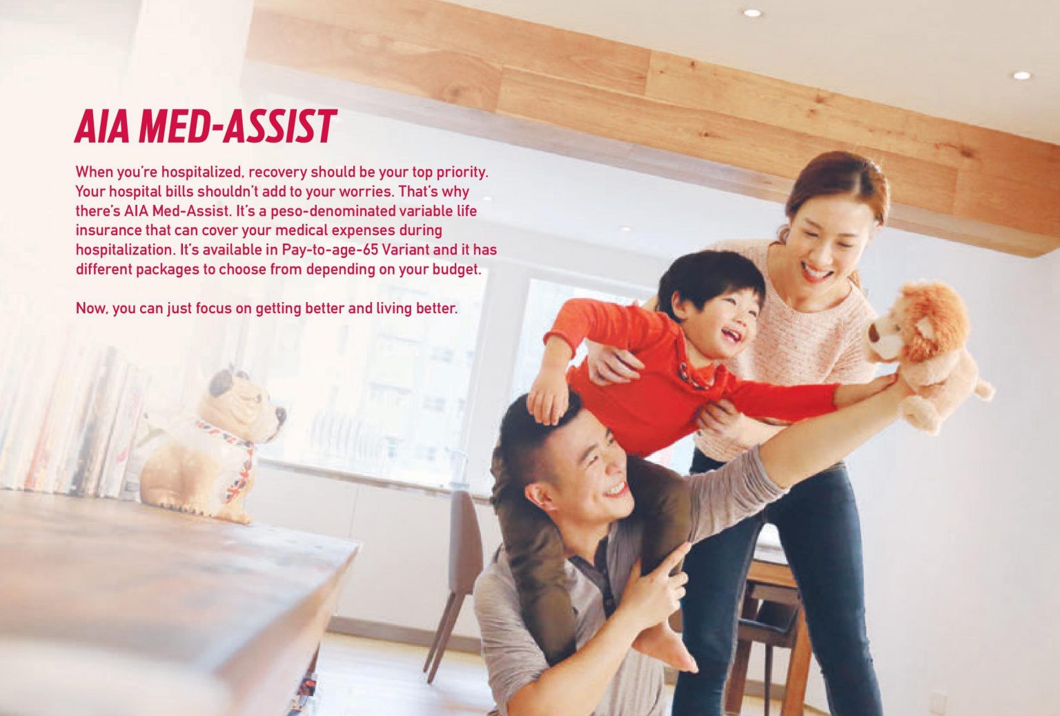 AIA Med-Assist FAQs | HMO Insurance Plan FAQs - Argel Tiburcio, PFA